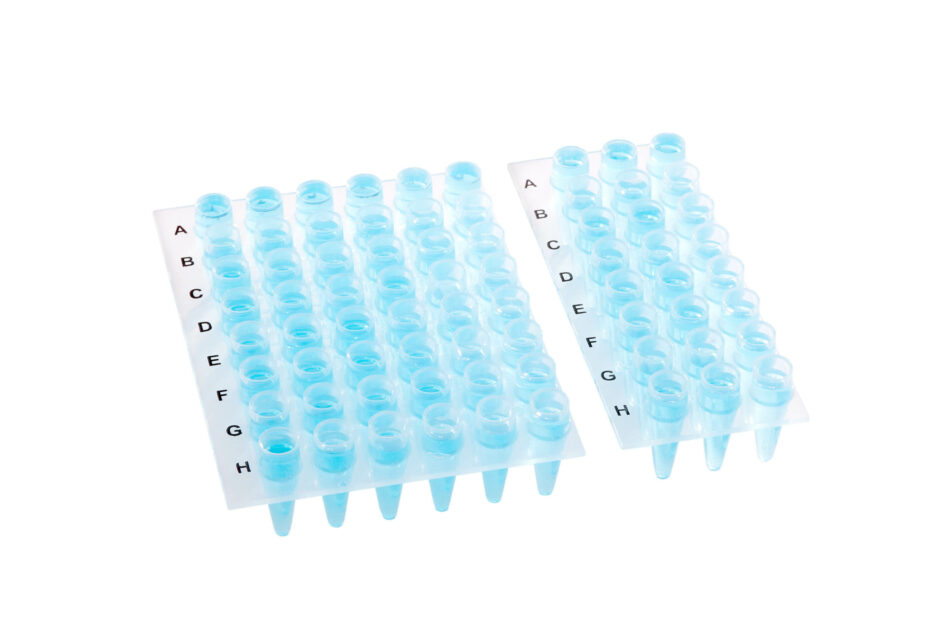 diaago | BaaySCI Clear PCR Plates with Chimney Top (48-Well & 24-Well ...